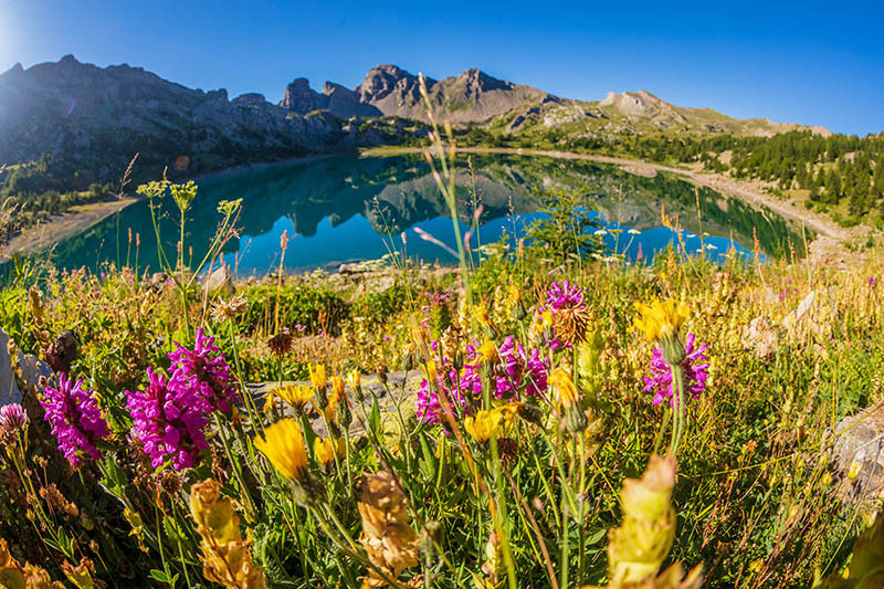 le lac d'allos, lac naturel de montagne, au coeur d'un parc national